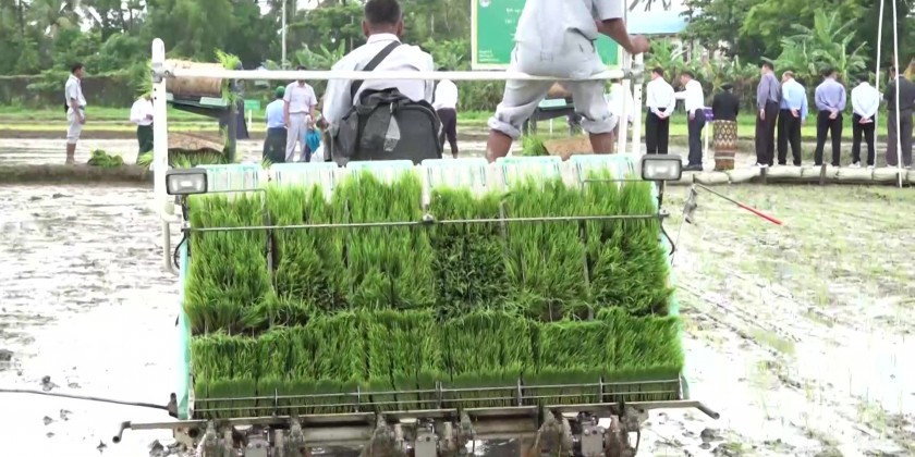 Boosting Paddy Production: Monsoon paddy planting methods demonstrated in Sittwe | Myanmar ...